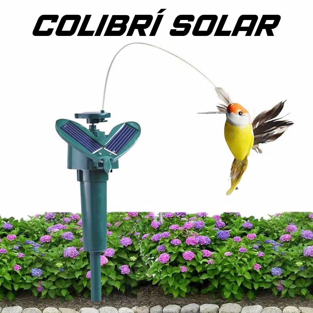 COLIBRÍ SOLAR - FLY BIRD™ – BEEBIZ